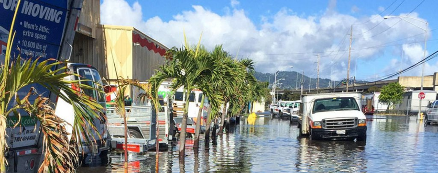 Arc Skoru | Sustainability performance platform